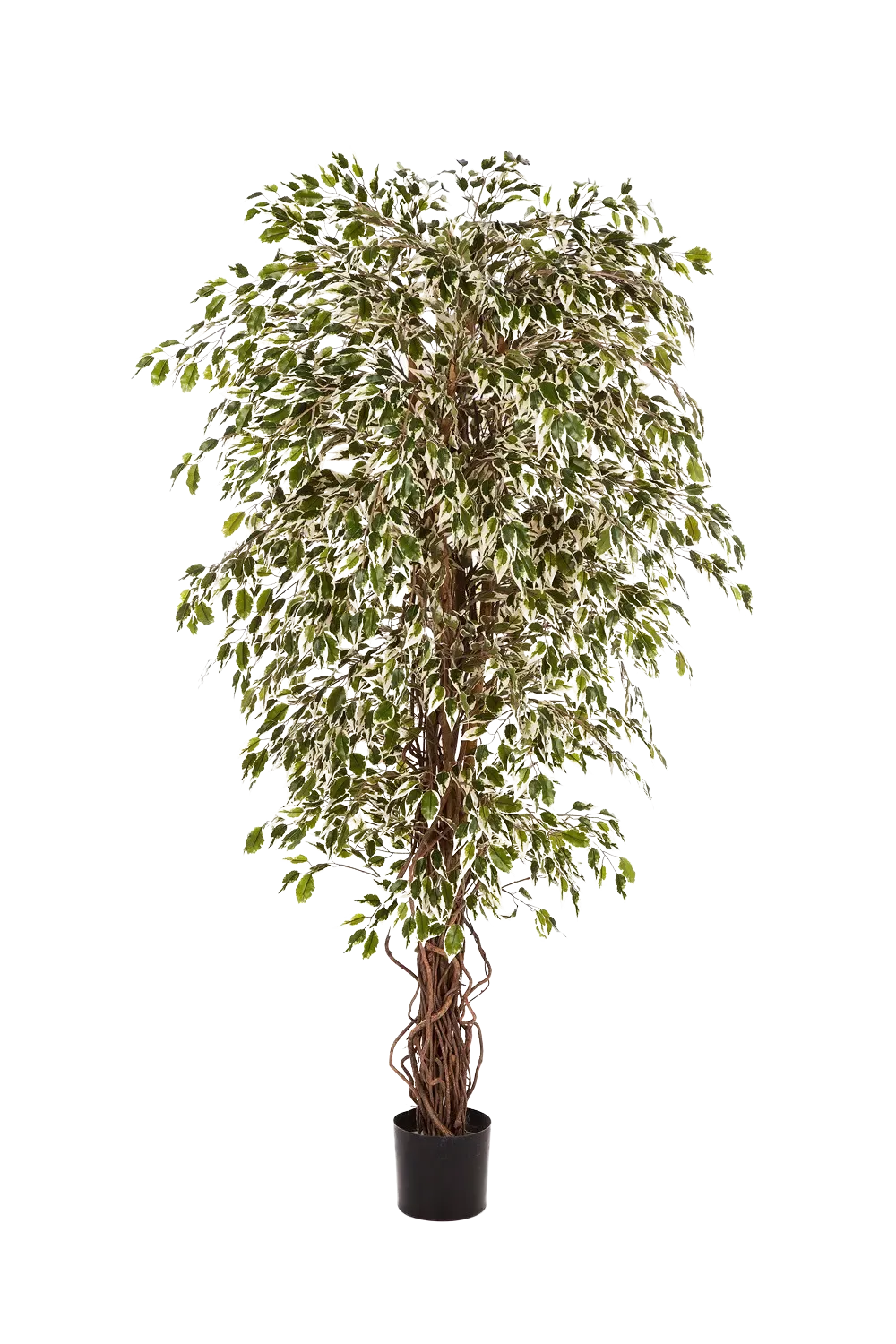 Ficus artificial - Jessica | 210 cm | comprar 🌱aplanta